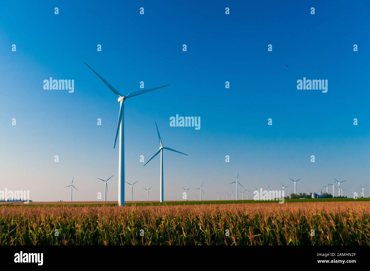 Large wind turbine farm against a blue sky at sunset, Dexter, Minnesota ...
