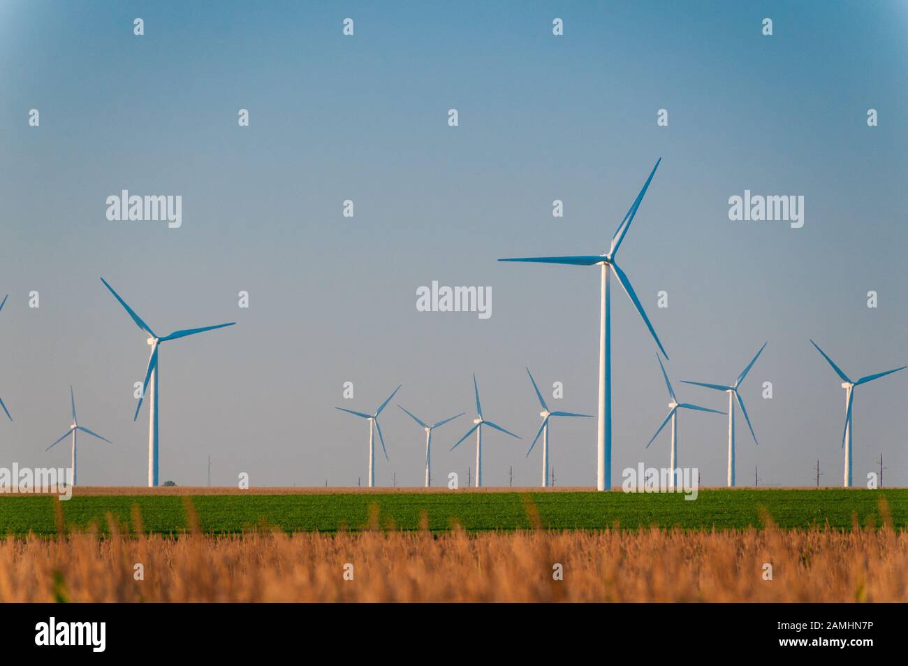 Large wind turbine farm against a blue sky at sunset, Dexter, Minnesota ...