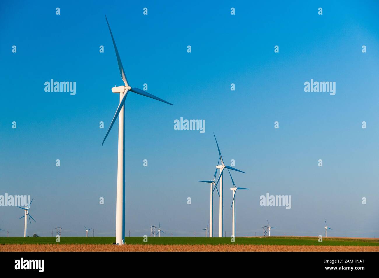 Large wind turbine farm against a blue sky at sunset, Dexter, Minnesota ...