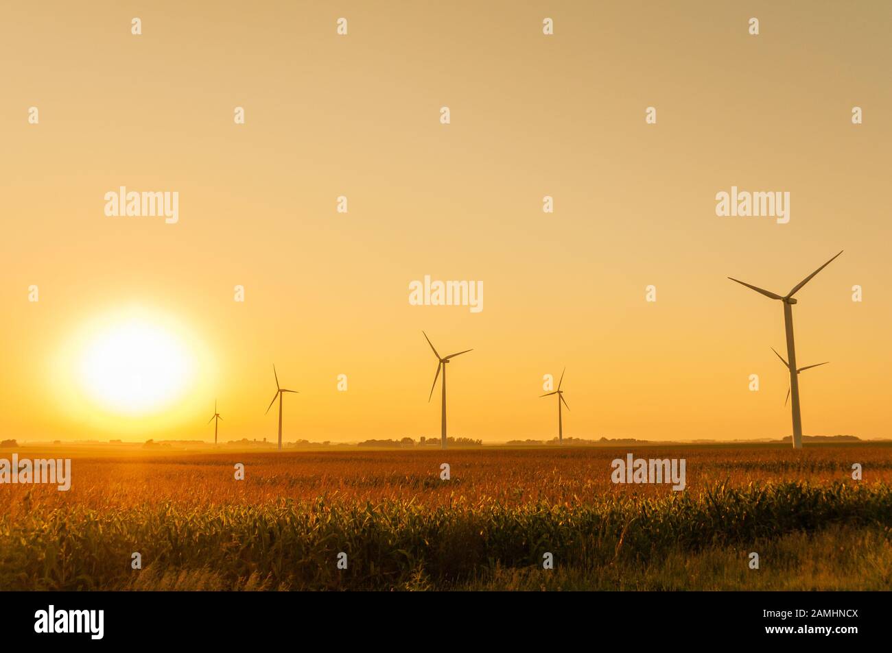 Silhouette of large wind turbine farm at sunset, Dexter, Minnesota, USA ...