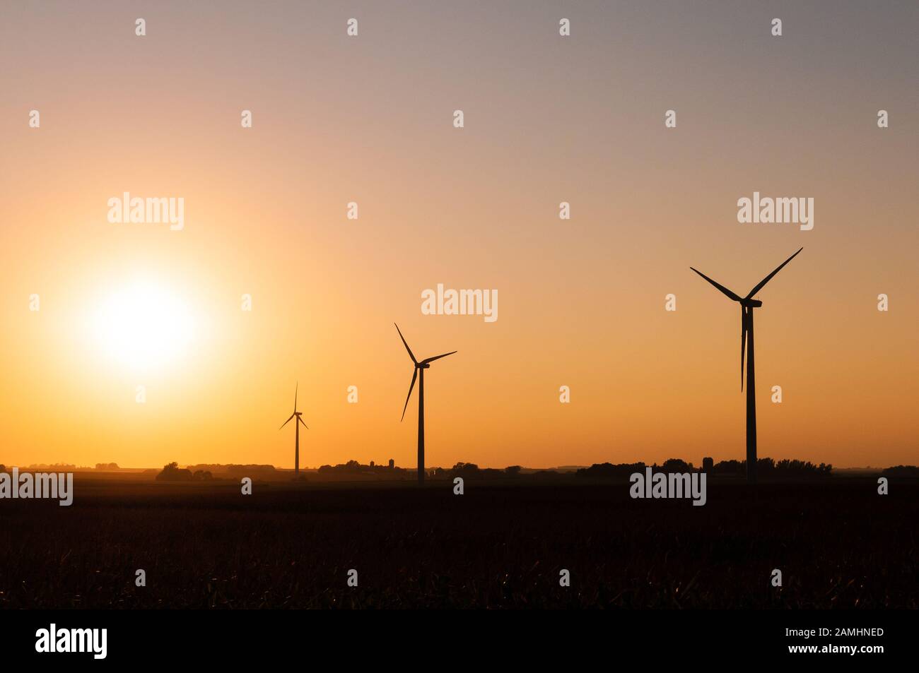 Silhouette of large wind turbine farm at sunset, Dexter, Minnesota, USA ...