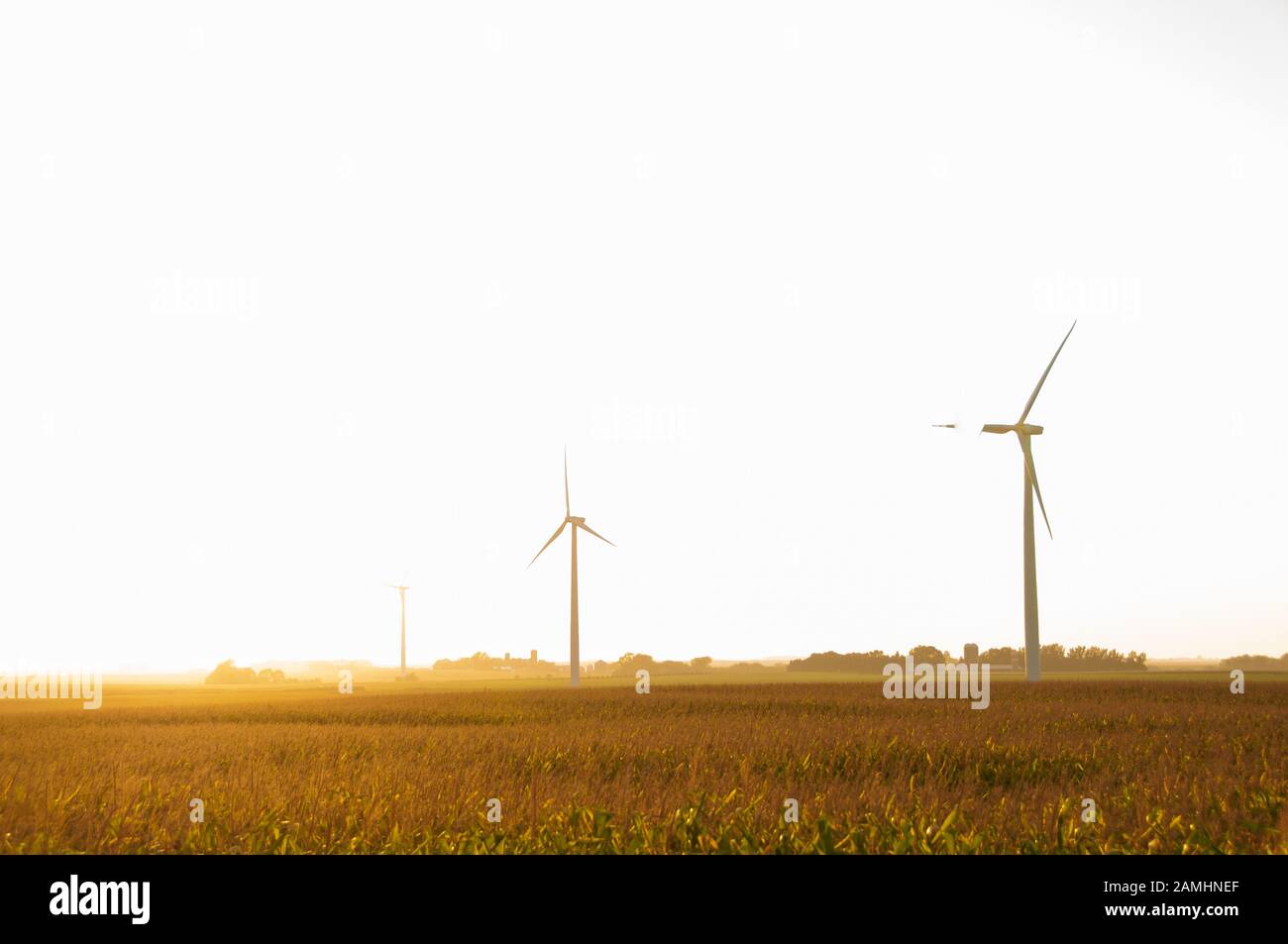 Silhouette of large wind turbine farm at sunset, Dexter, Minnesota, USA ...