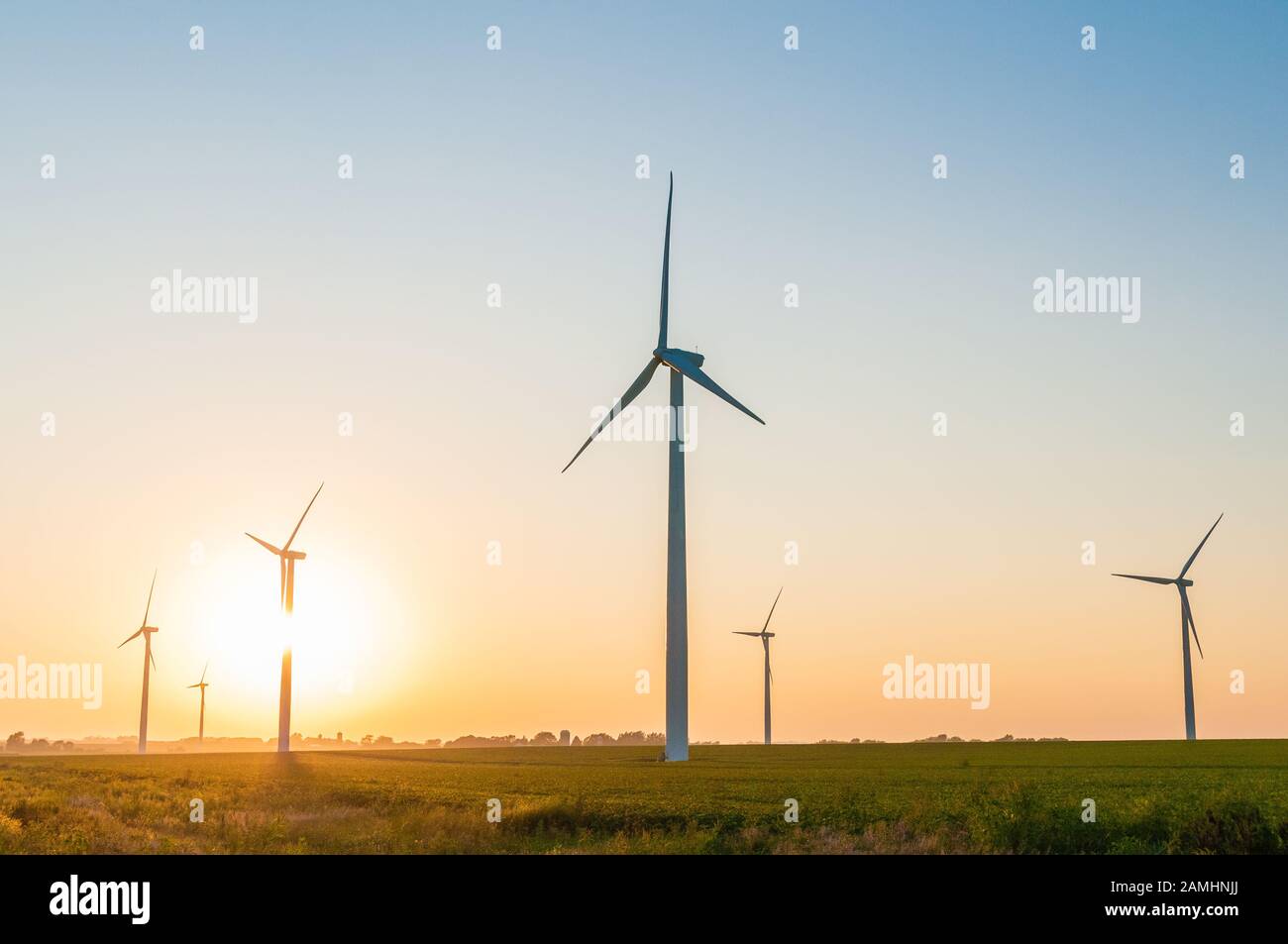 Silhouette of large wind turbine farm at sunset, Dexter, Minnesota, USA ...