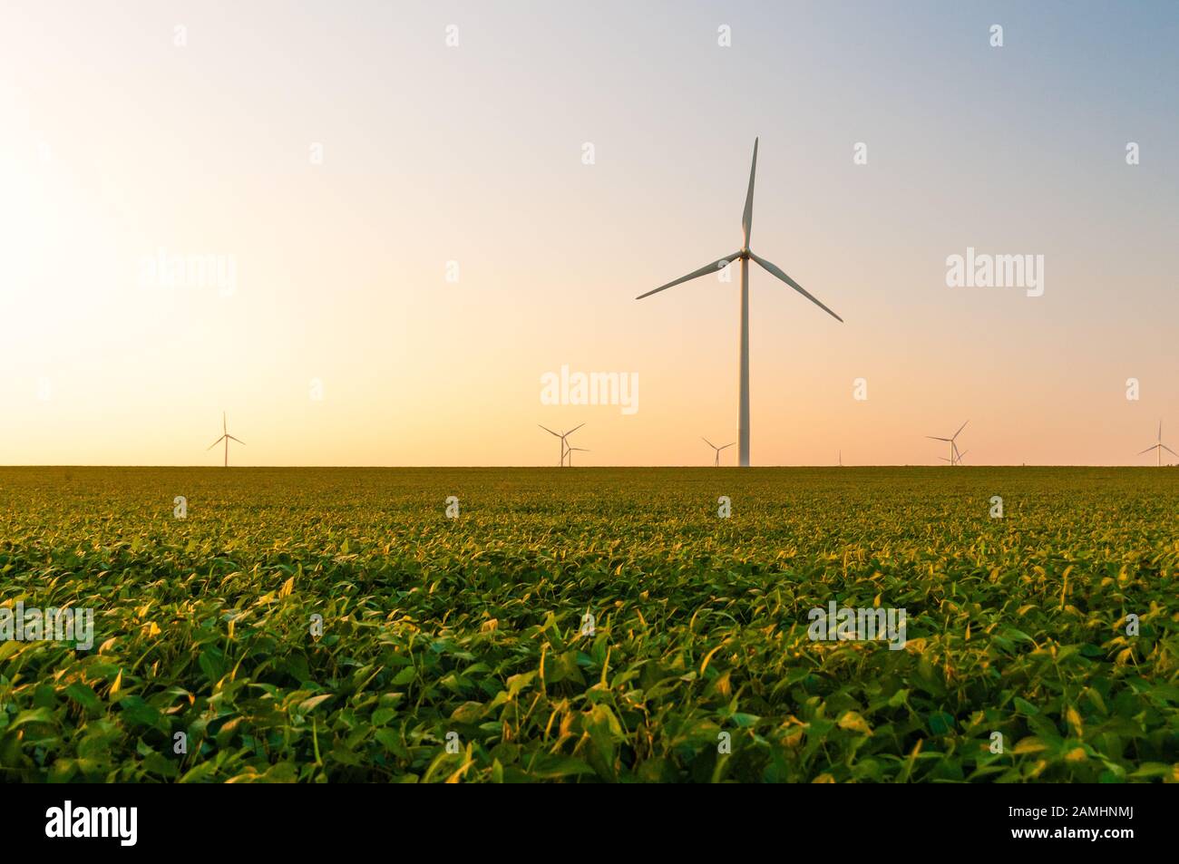 Cornfield with large wind turbines in Dexter Minnesota USA Stock Photo ...