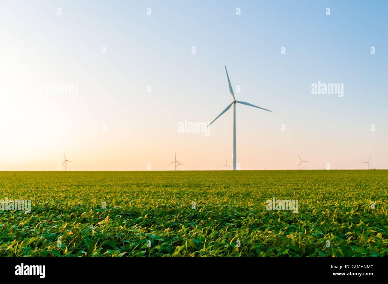 Cornfield with large wind turbines in Dexter Minnesota USA Stock Photo ...