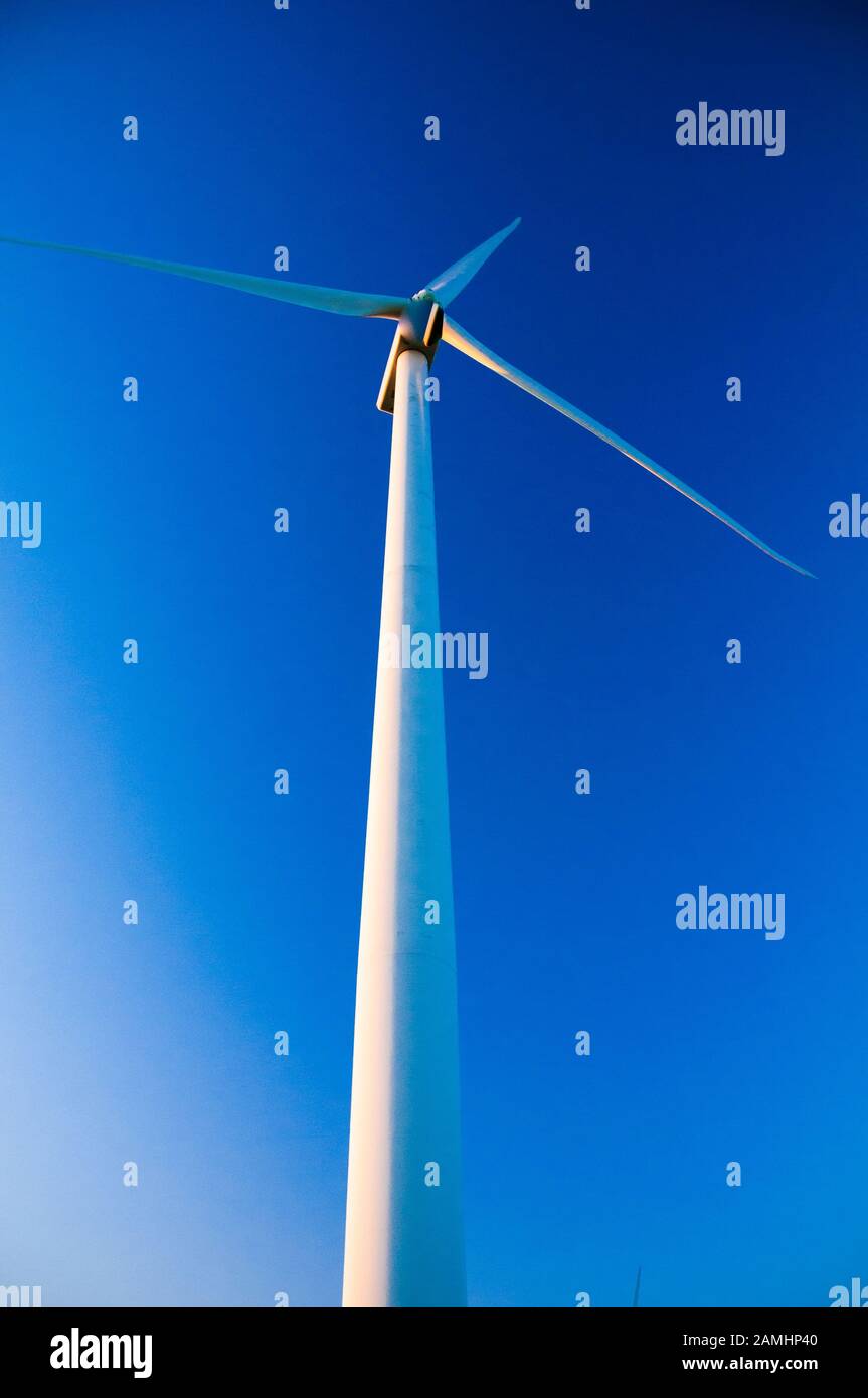 Looking up at a lone wind turbine against a blue sky in Dexter ...