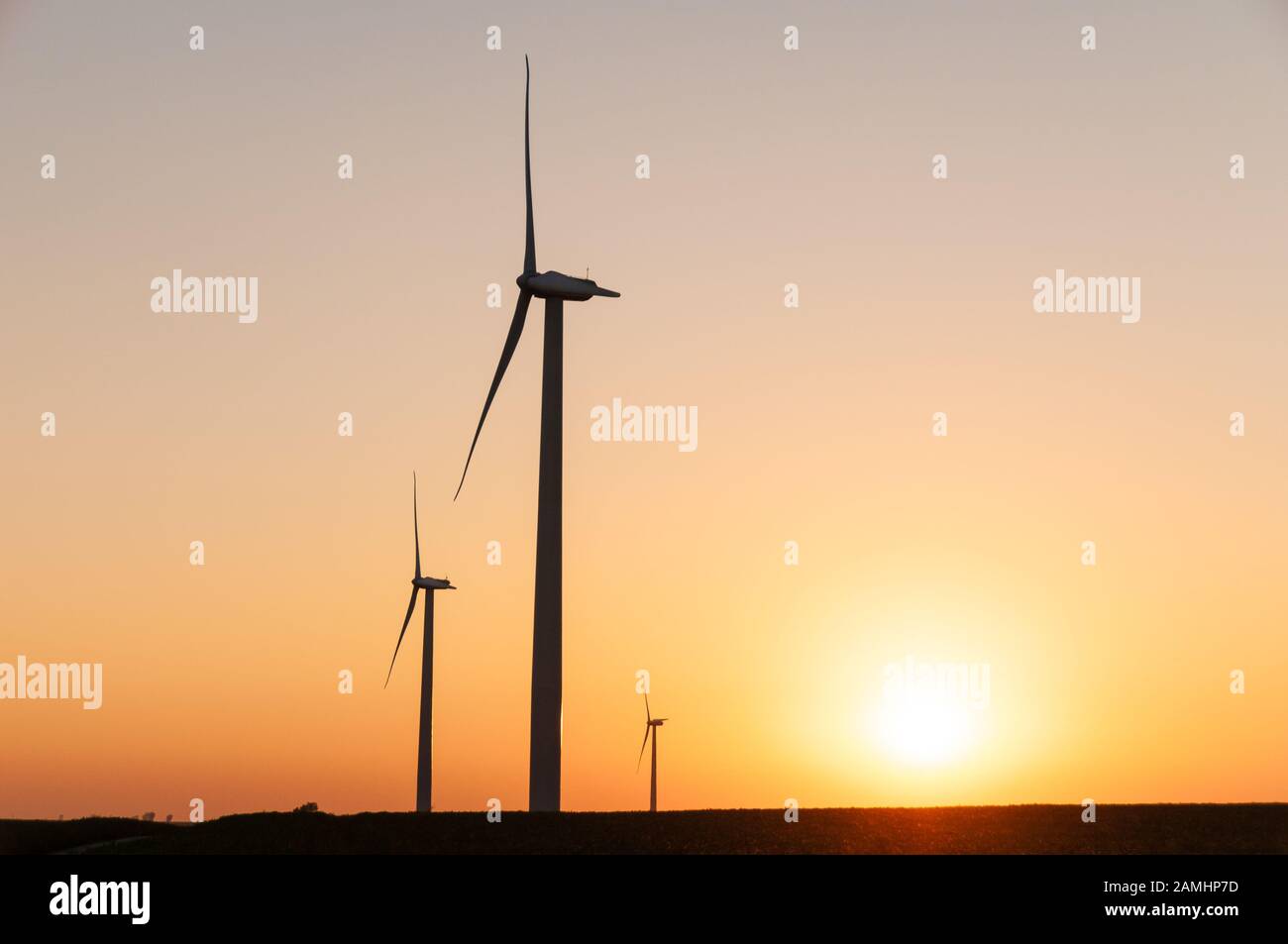 Silhouette of large wind turbine farm at sunset, Dexter, Minnesota, USA ...