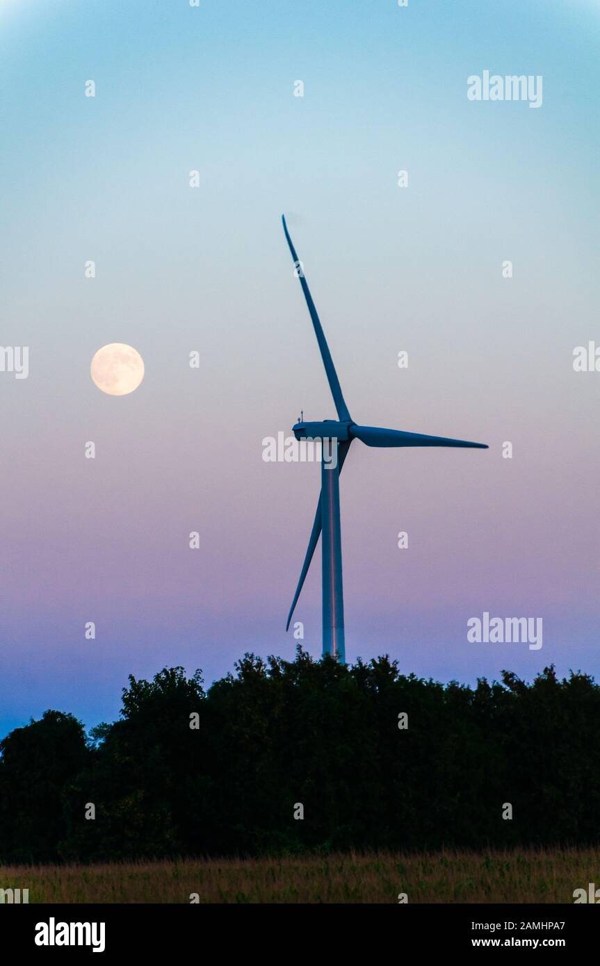 Silhouette of large wind turbine farm at sunset, Dexter, Minnesota, USA ...