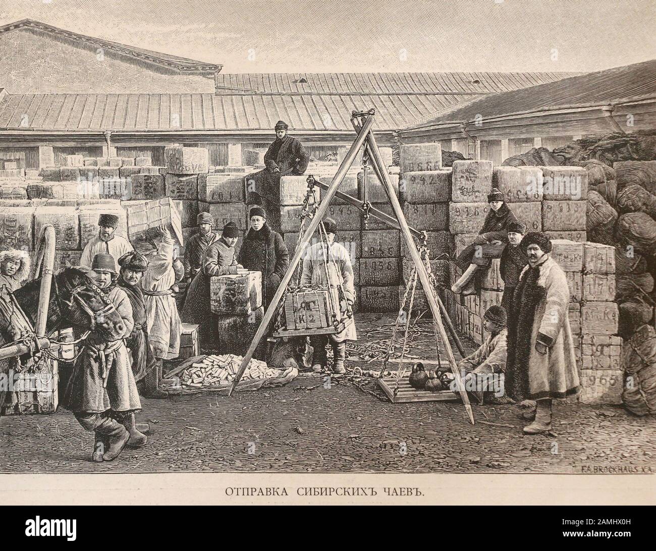 Preparing packaged tea for shipment. Siberia, Russian Empire. Engraving ...