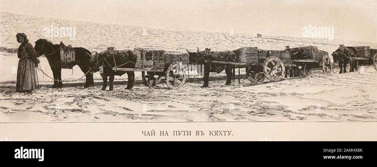 Tea transportation in Kyakhta (Russian Empire). Engraving of the 19th ...