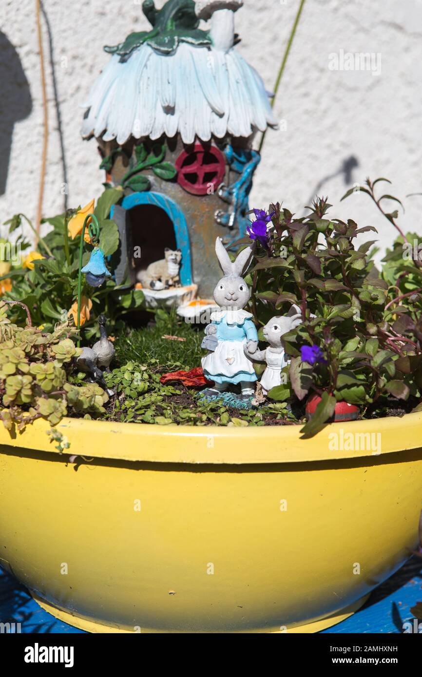 Miniature fairy garden planter Stock Photo - Alamy
