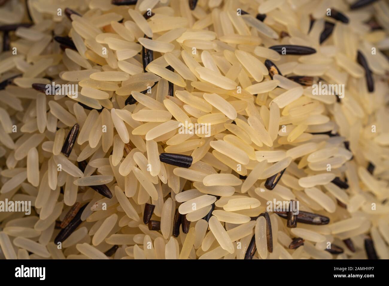 Grain of rice close up. Unpolished rice. Organic Food Background Stock ...