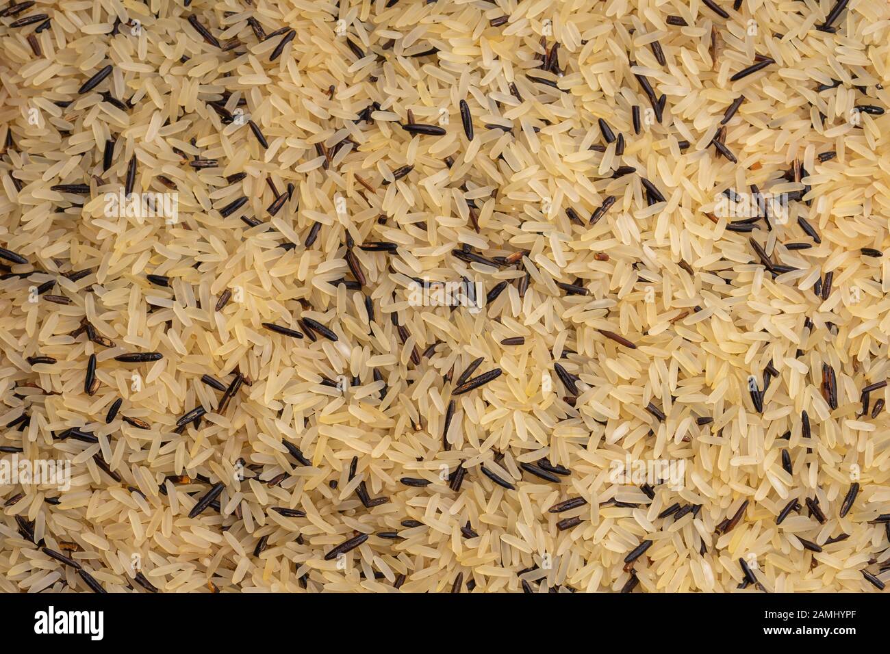 Grain of rice close up. Unpolished rice. Organic Food Background Stock ...