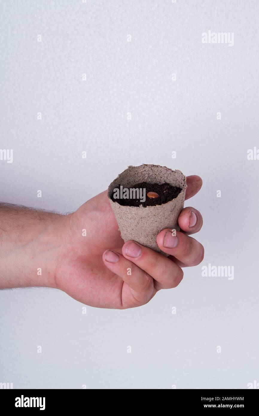 Pot seed soil hi-res stock photography and images - Alamy