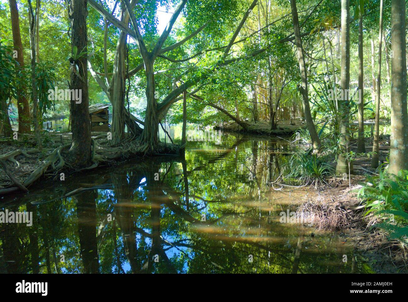 Tanawha landscapes hi-res stock photography and images - Alamy