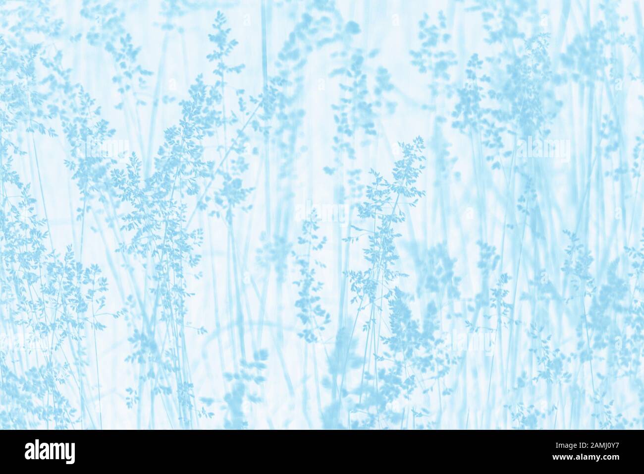 Pale blue white abstract background with plant pattern Stock Photo - Alamy