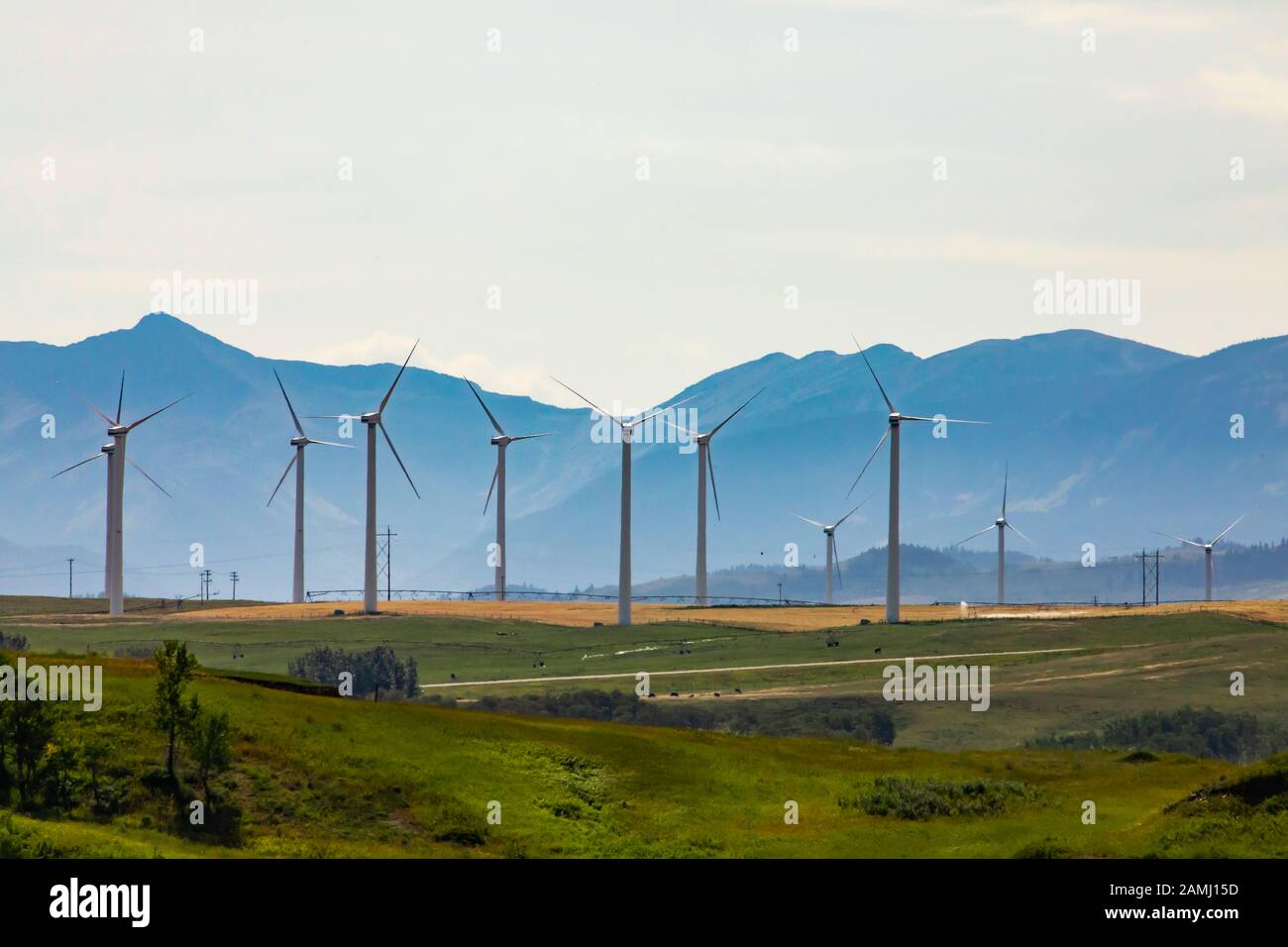 A large wind turbine farm is seen by the Rocky Mountains in Alberta ...