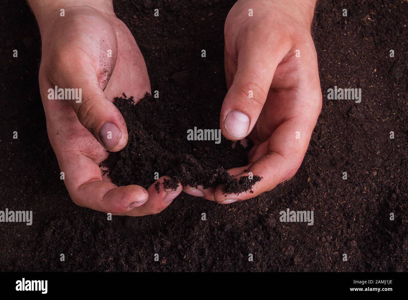 Male hands with soil, close-up Stock Photo - Alamy