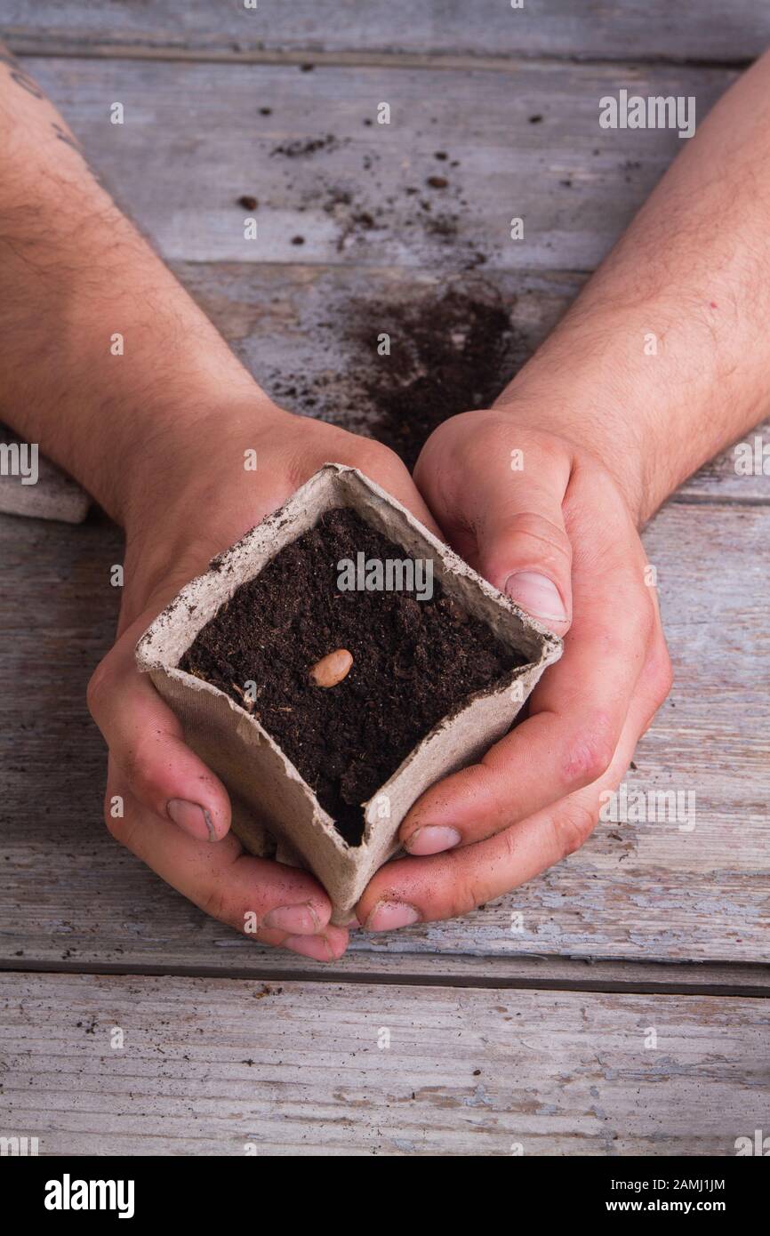 Sowing seed pot hi-res stock photography and images - Alamy