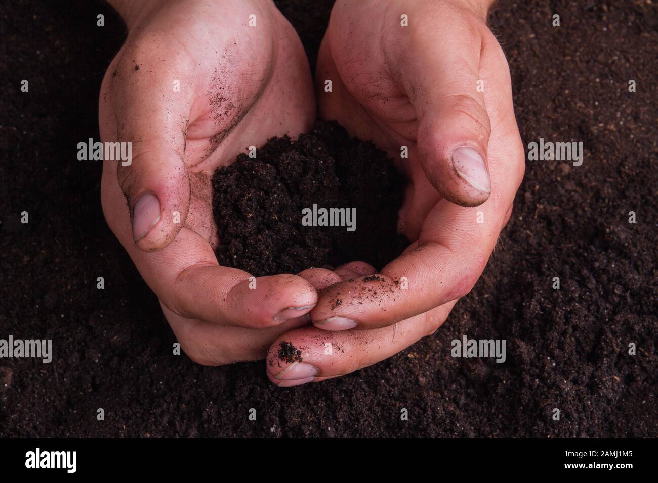 Man's hands holding soil heap Stock Photo - Alamy
