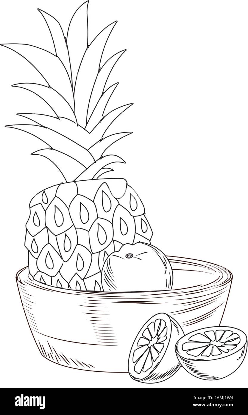 bowl with pineapple and oranges, sketch design Stock Vector Image & Art ...