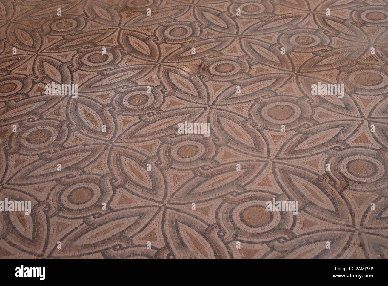 Ancient round tile pattern at Sepphoris Zippori National Park in ...