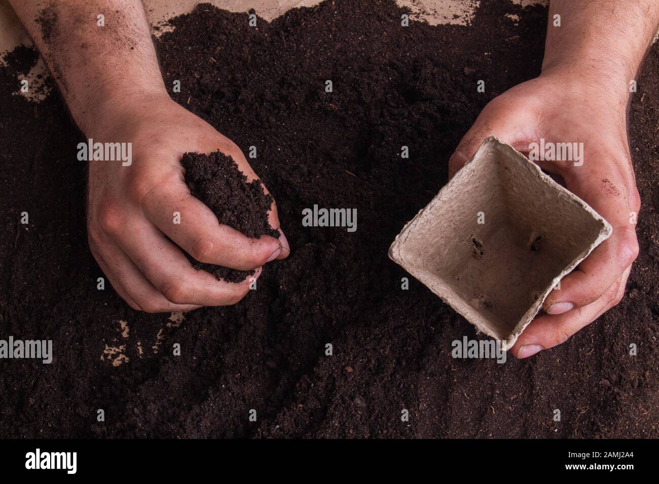 Man's grabbing soil to put it into fibre pot Stock Photo - Alamy