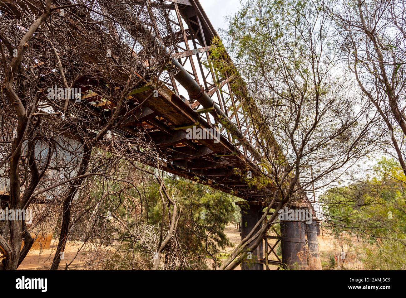 View of the iron rail bridge over the Macquarie River built in 1884 and ...