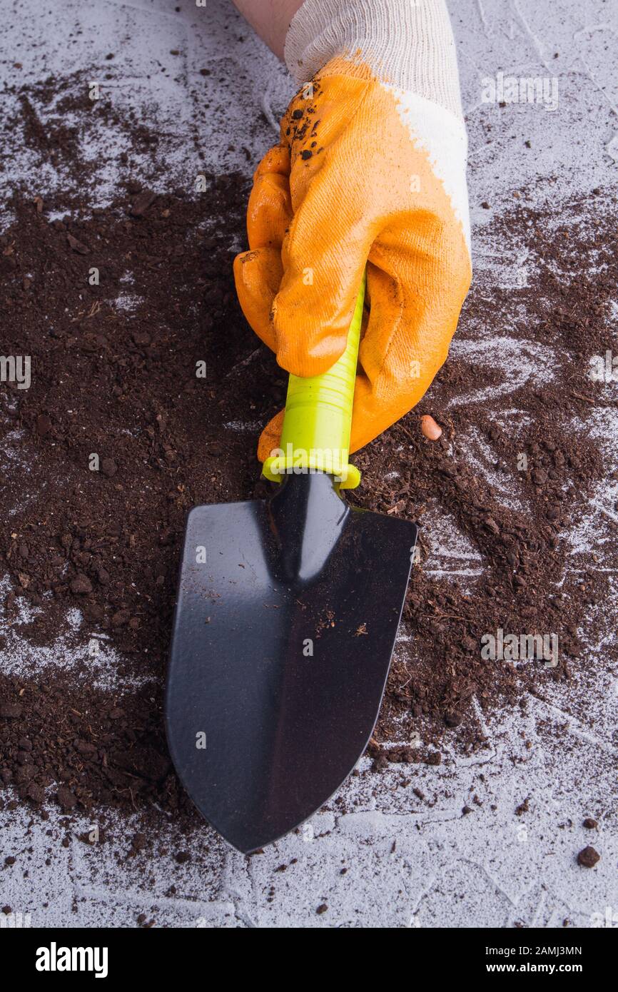 Close-up gardener's hand with glove holding a trowel Stock Photo - Alamy