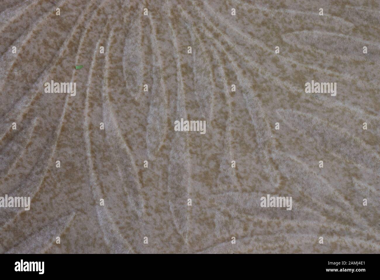 Bright beige texture with a pattern. Background with copy space Stock ...