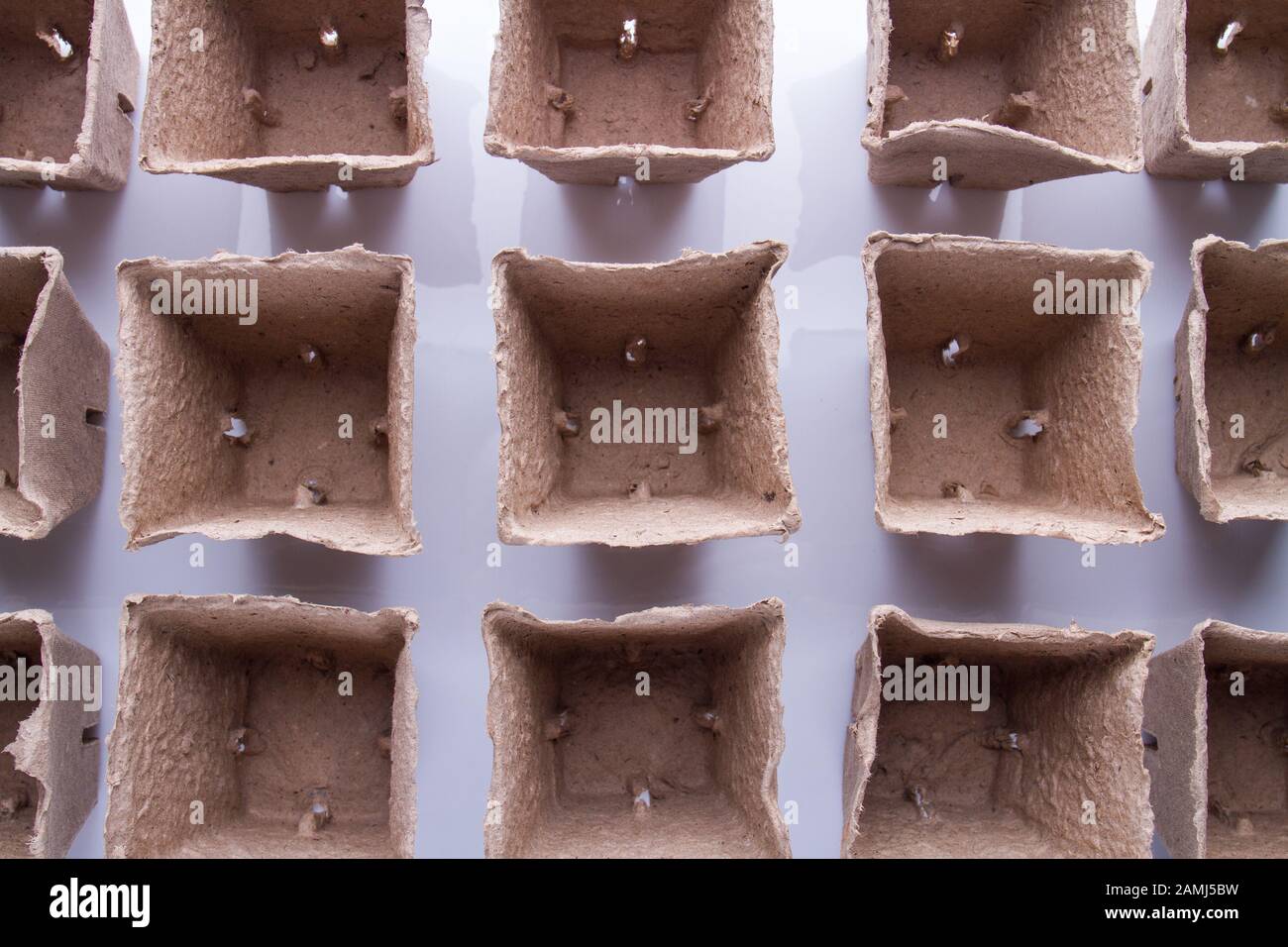 Fibre square biodegradable paper pots Stock Photo - Alamy