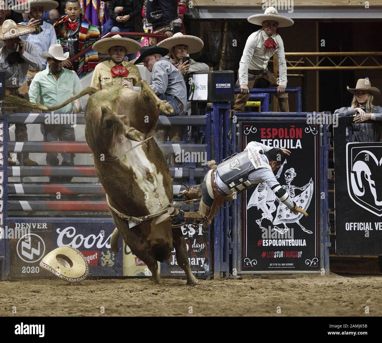 Denver, Colorado, USA. 12th Jan, 2020. A Mexican Charro gets bucked off ...