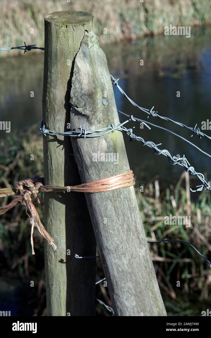 wooden field posts and barbed wire embracing each other Stock Photo - Alamy