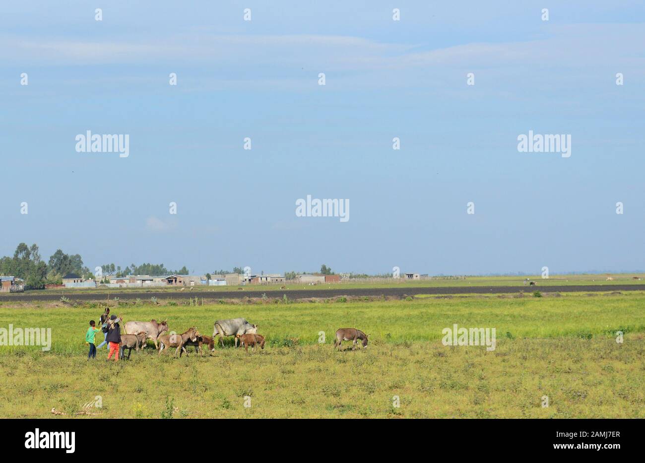 Rural scenery in Ethiopia Stock Photo - Alamy