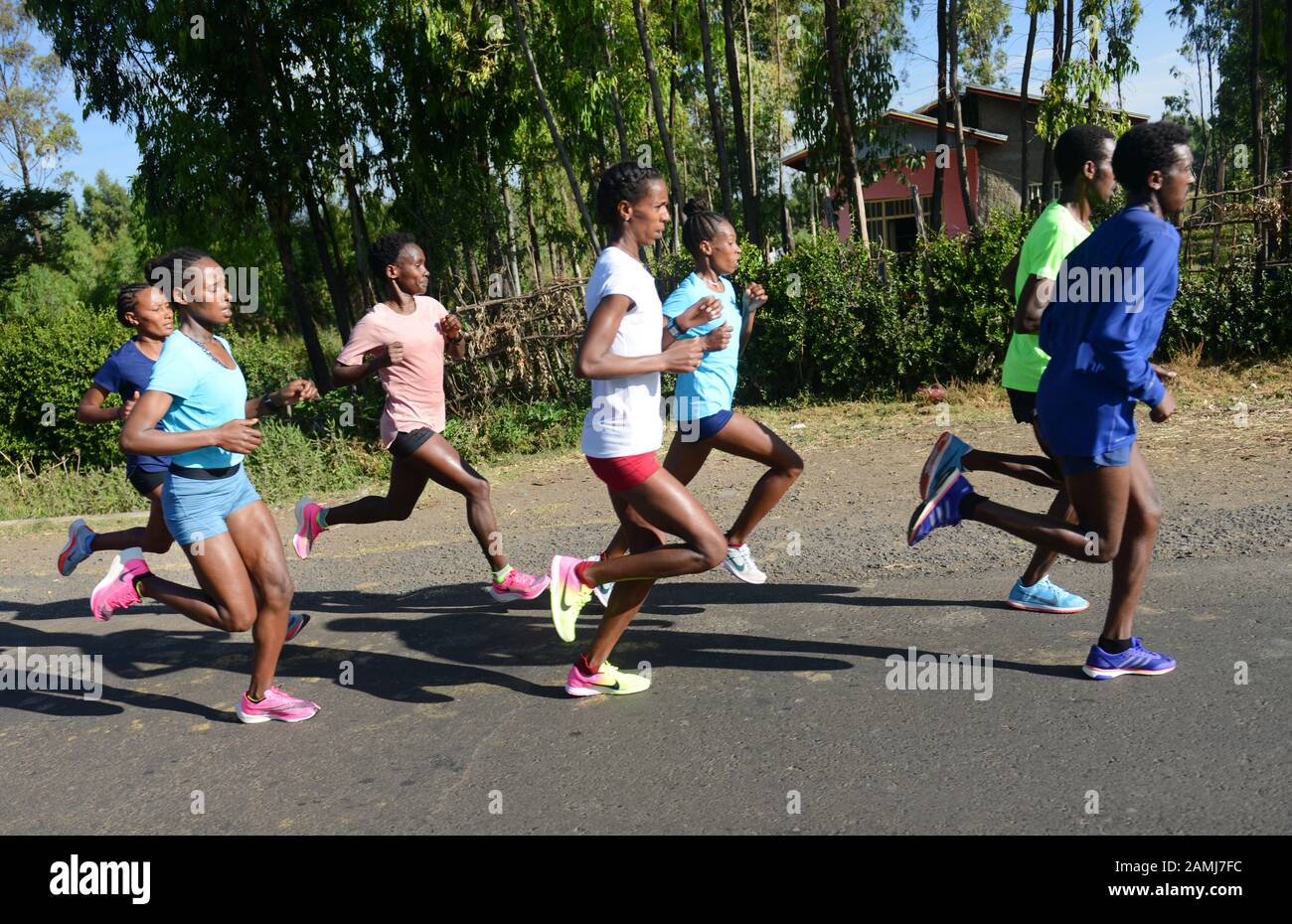 Ethiopian long distance runners during practice along the Jimma road ...