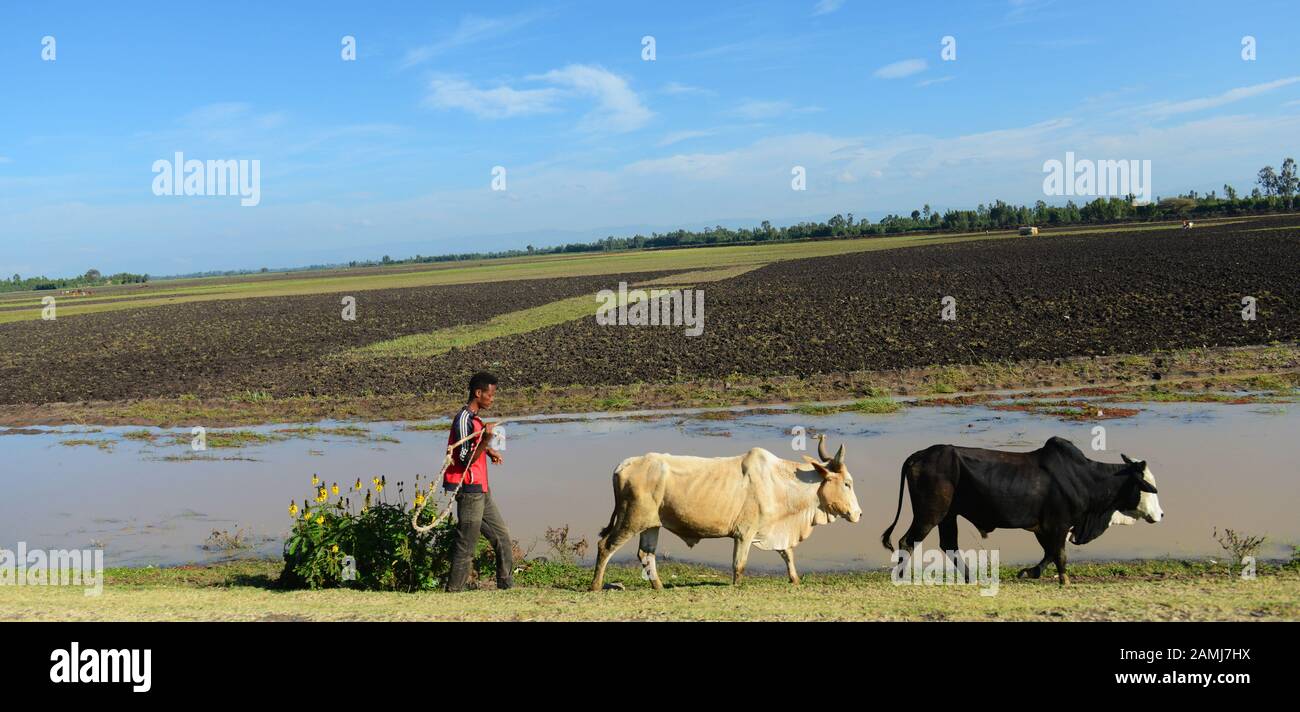 Rural scenes in Ethiopia Stock Photo - Alamy
