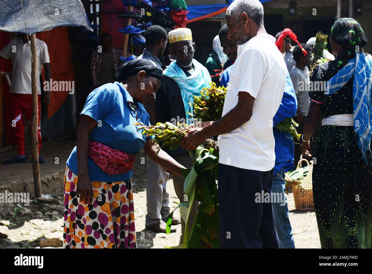 Khat market in Woliso, Ethiopia Stock Photo - Alamy