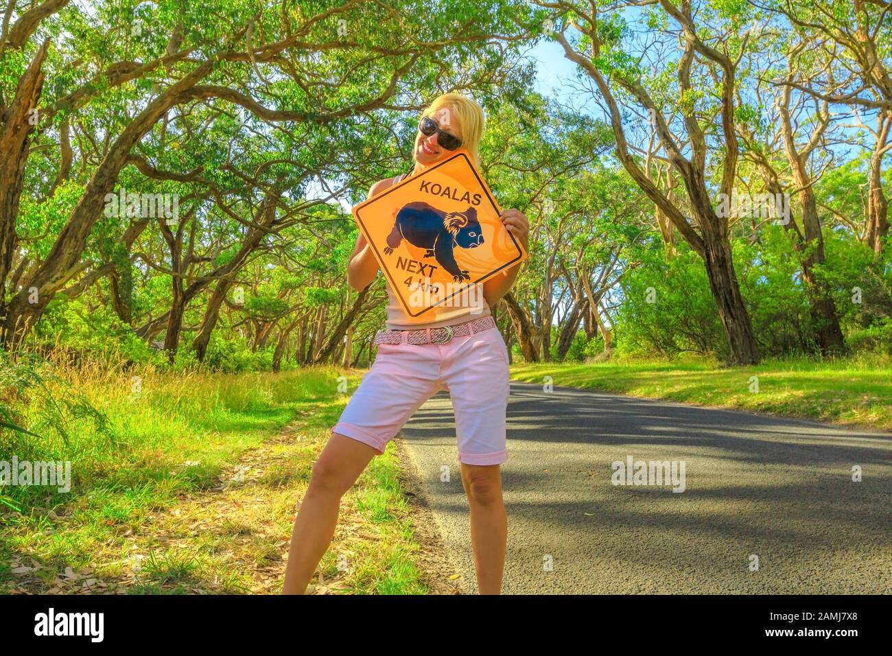 Koala holding sign hi-res stock photography and images - Alamy