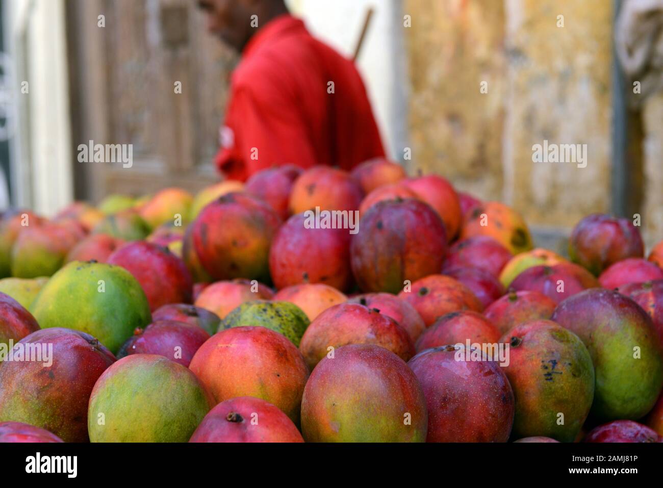 Colorful juicy mangoes sold by a vendor in old Havana, Cuba Stock Photo ...