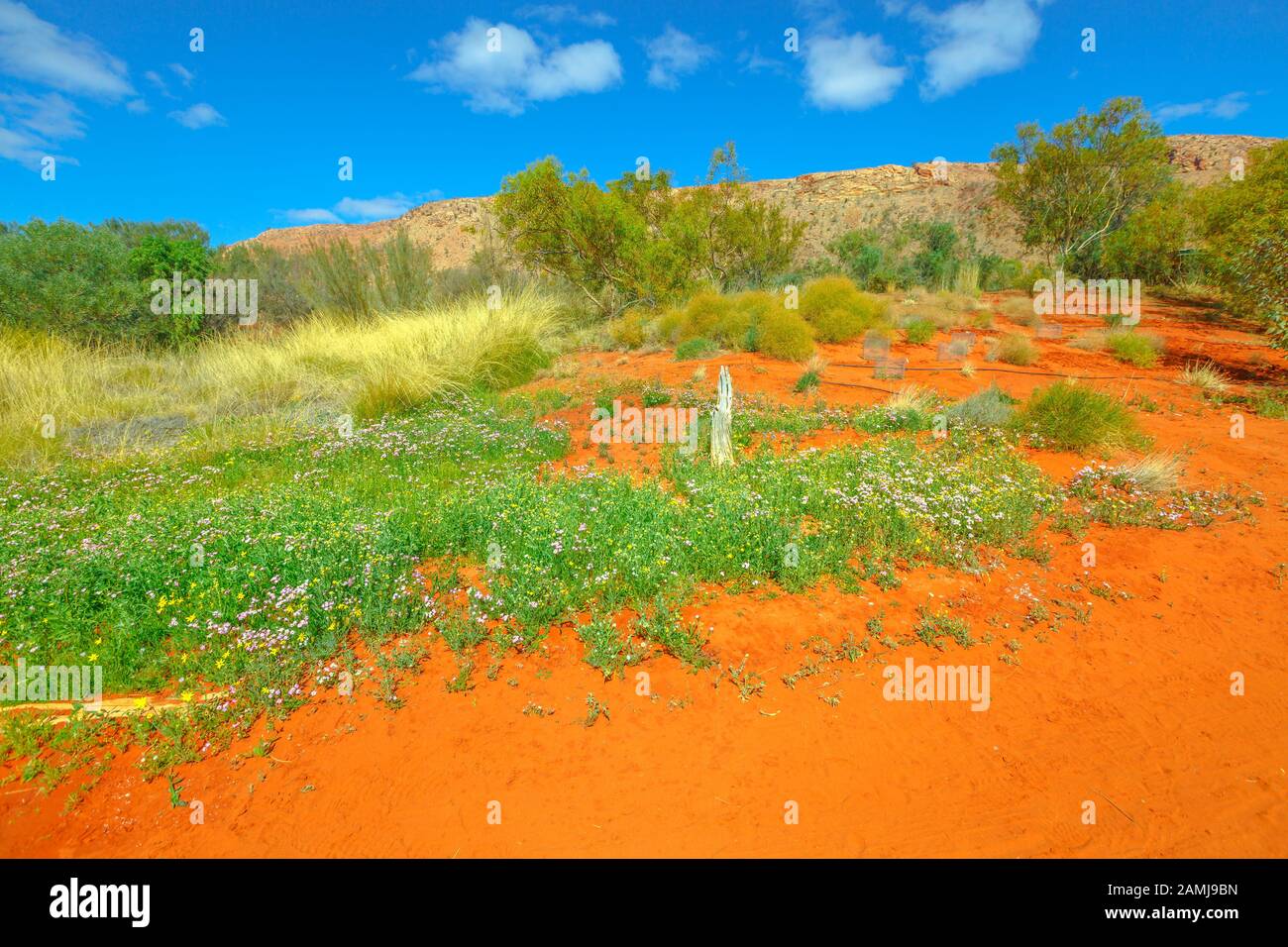 Red centre road near alice springs hi-res stock photography and images ...