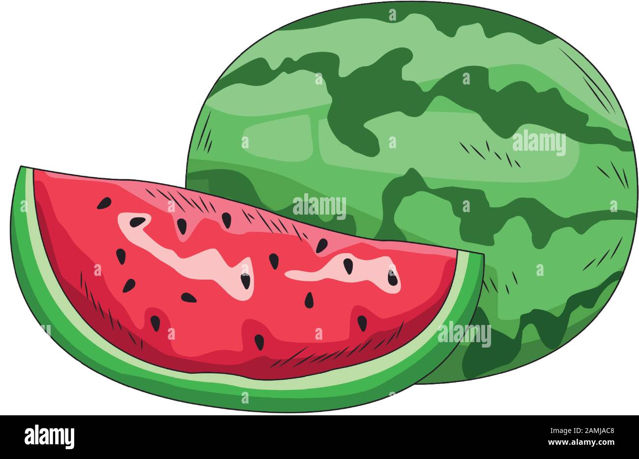 watermelon fruit icon, flat design Stock Vector Image & Art - Alamy