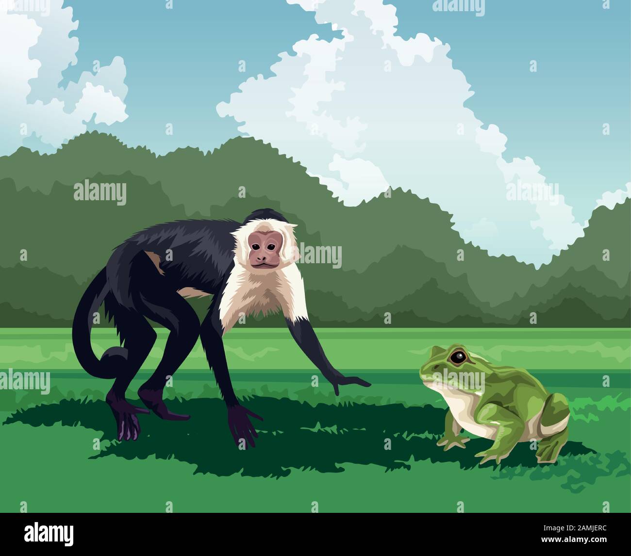 monkey and frog tropical fauna and flora landscape Stock Vector Image ...