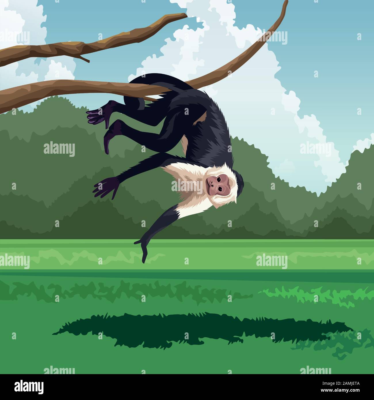 tropical monkey hanging branch tree fauna and flora landscape Stock ...