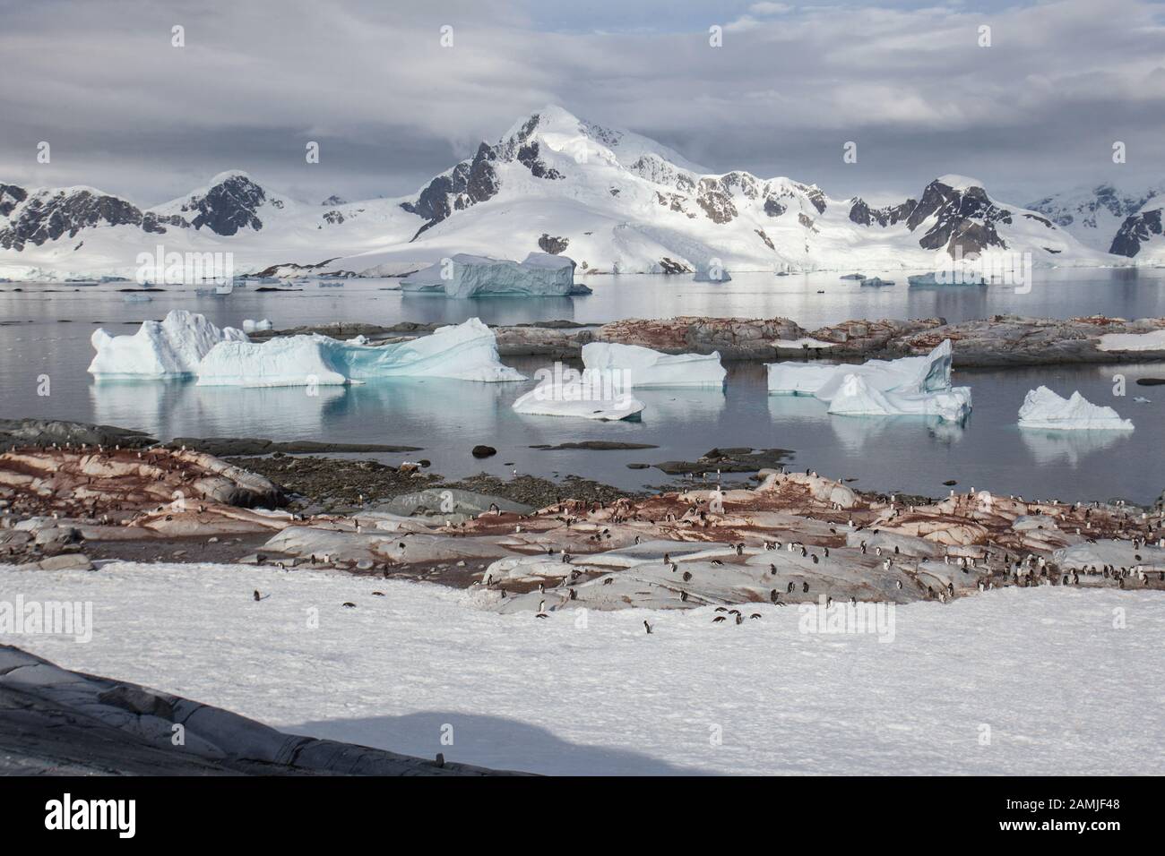 Antarctica tourist tourism hi-res stock photography and images - Alamy