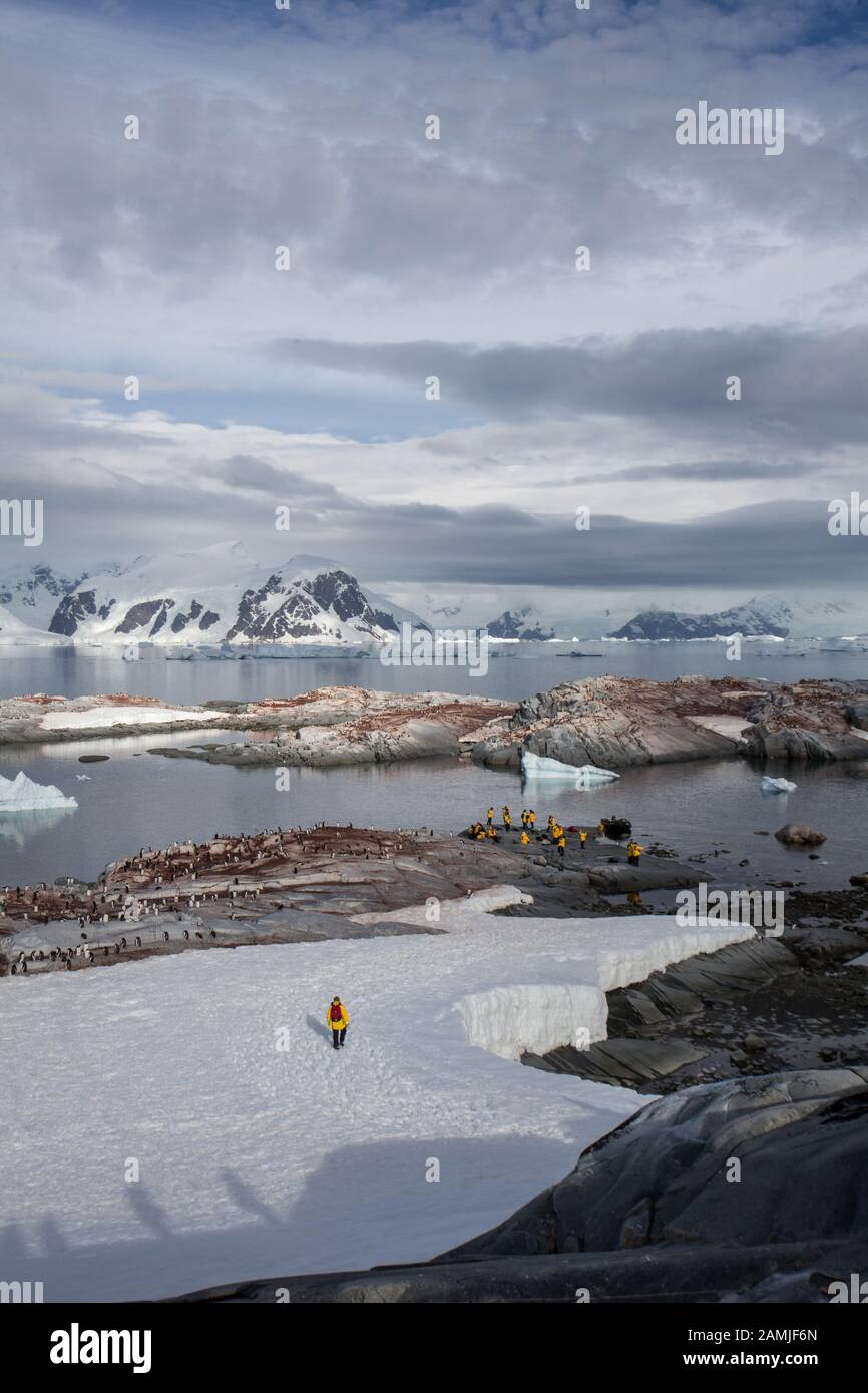 Useful Island, Antarctic Peninsula, Antarctica Stock Photo - Alamy