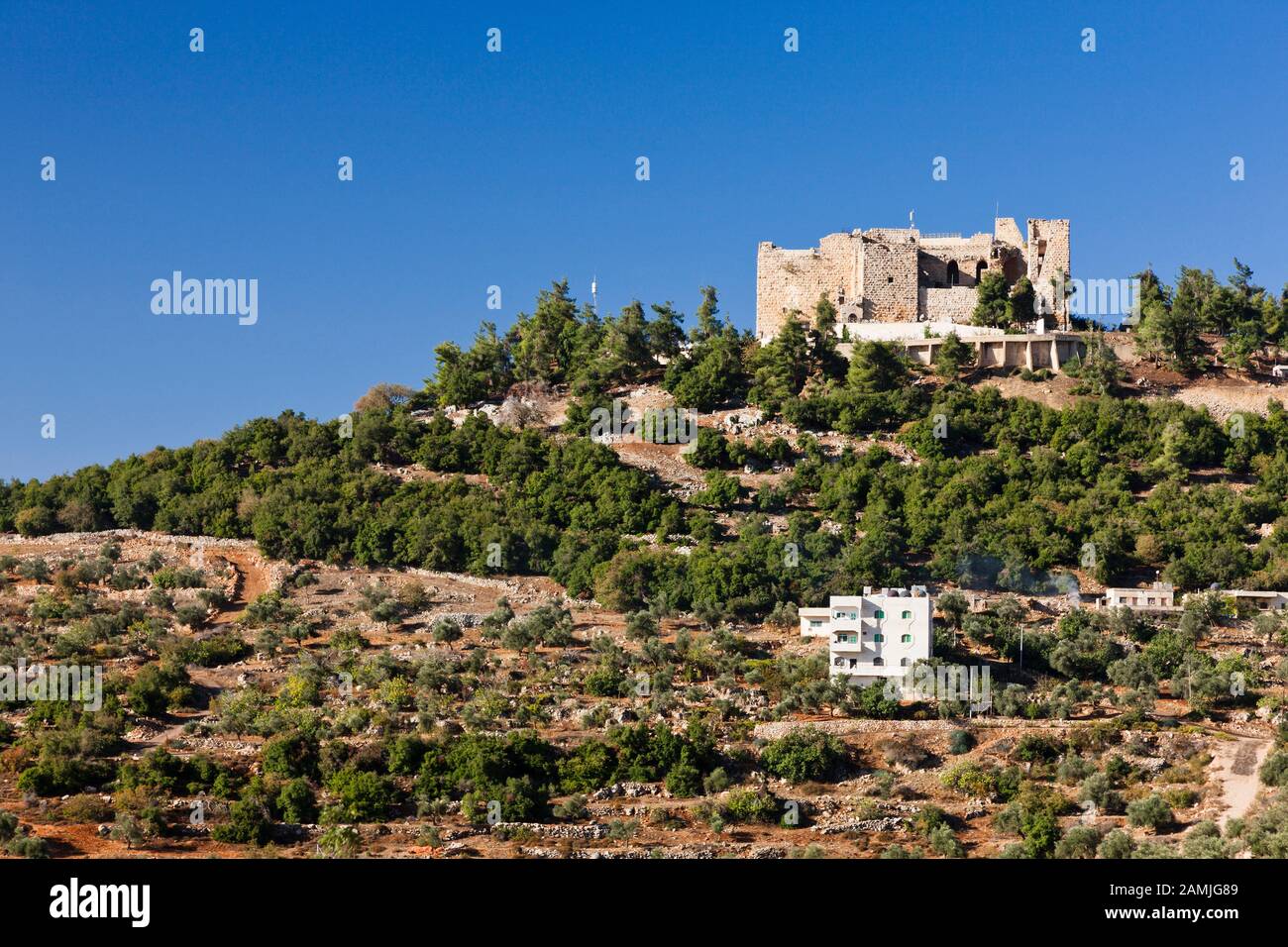 Jordan ajlun castle hi-res stock photography and images - Alamy