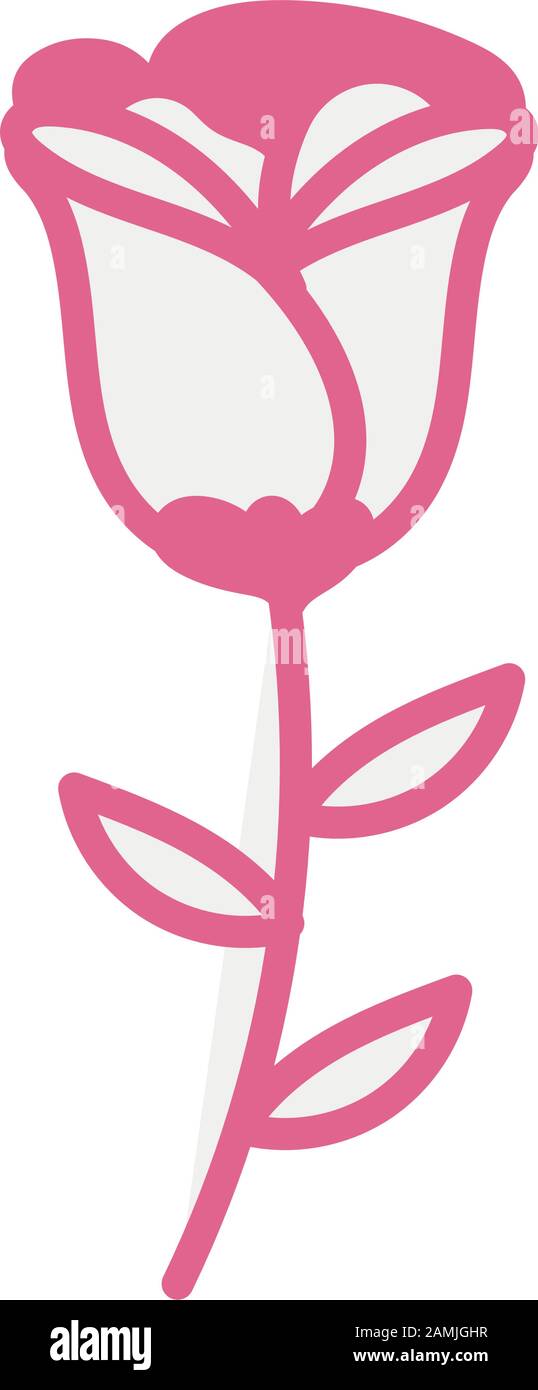 beautiful rose flower garden icon Stock Vector Image & Art - Alamy