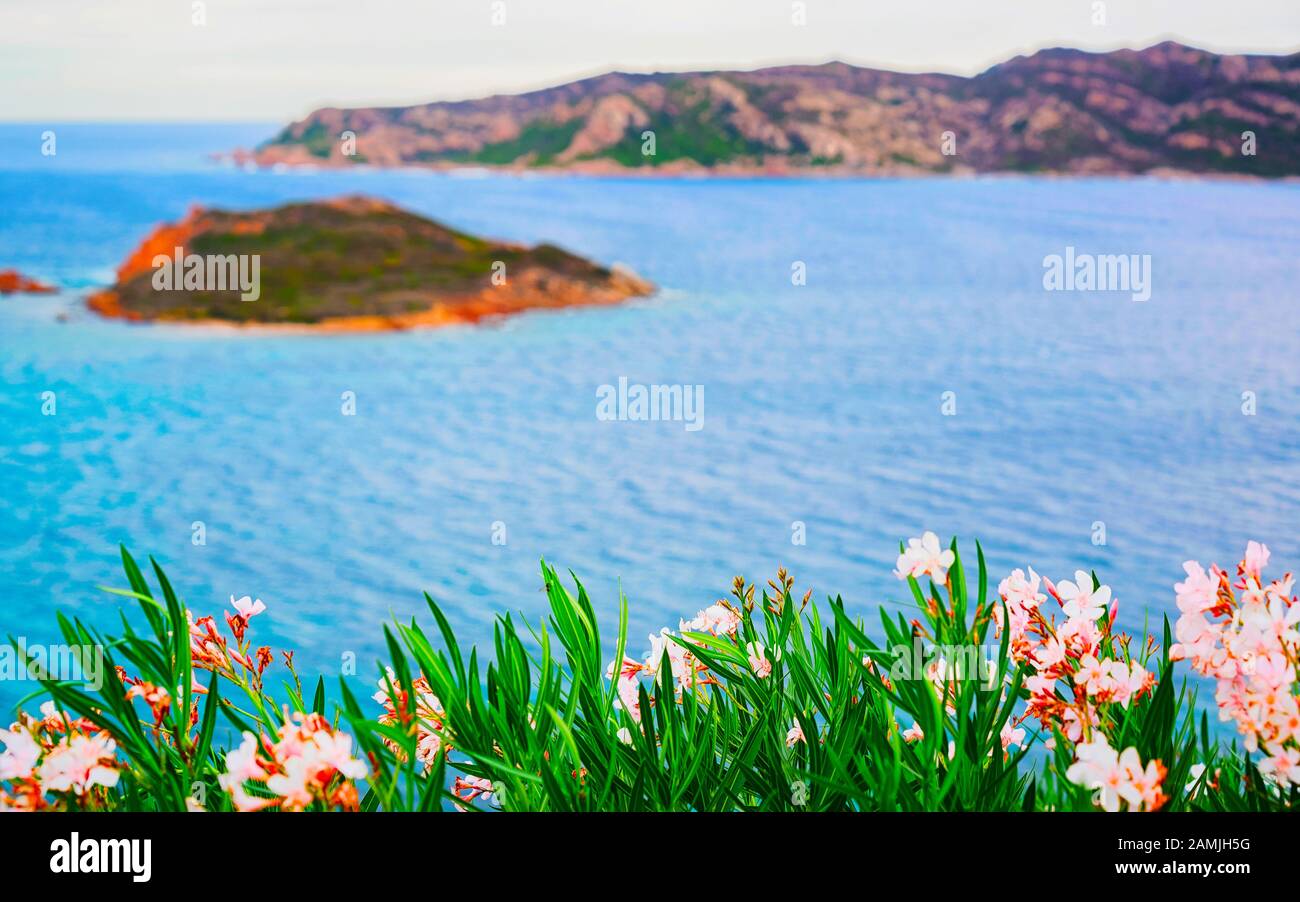 Molara and tavolara island hi-res stock photography and images - Alamy