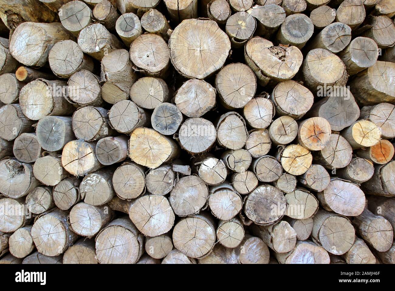 pile of wooden stump as background or texture Stock Photo - Alamy
