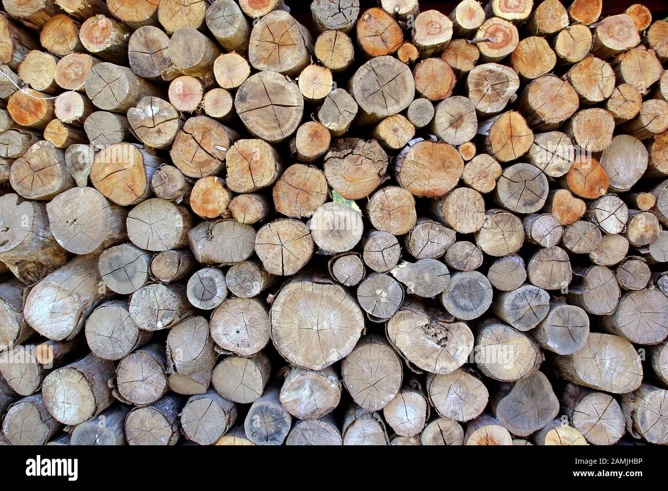 pile of wooden stump as background or texture Stock Photo - Alamy